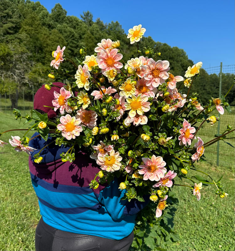 Mayberry’s Peach Blossom | Mayberry Blooms